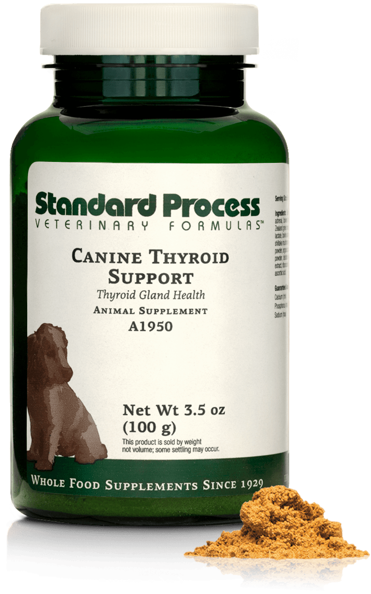 Canine Thyroid Support, 3.5 oz (100 g) – Infinite Wellness Natural Healing Center